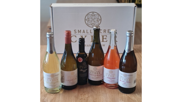 Vintage Cider Tasting Experience – Small Acres Cyder